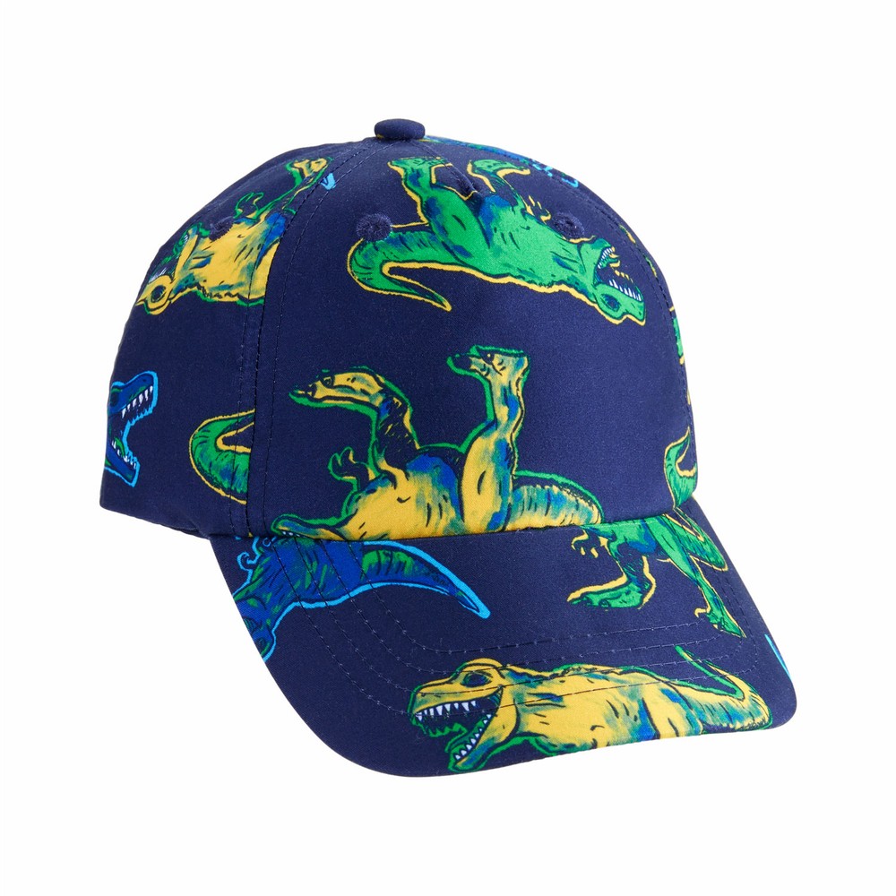 Carter's Dinosaur Baseball Cap | Boy